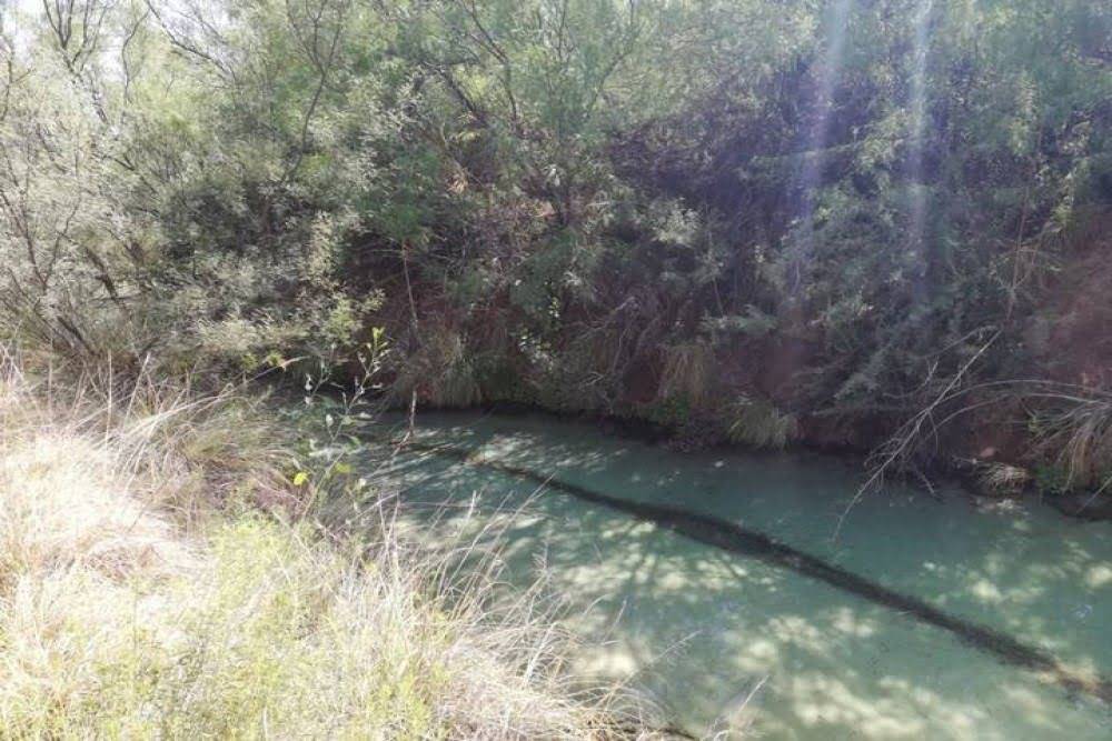 DESTACAN AMENAZAS AL HUMEDAL DE JULIMES, HOGAR DE 4 ESPECIES ENDÉMICAS